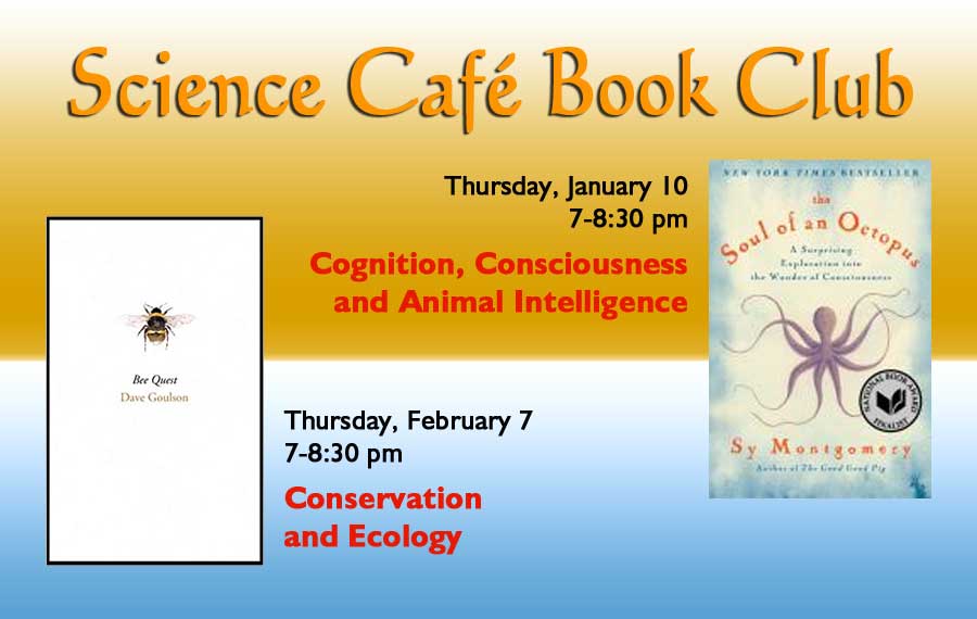 Nederland Community Library – Our mission is to enrich the residents ...